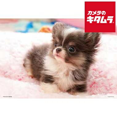 【製品特徴】■紙製300ピースジグソーパズルです■パズルが完成すると38×26cmの大きさになります■市販の「3」サイズフレームに適合します※フレームは別売りです ※商品の仕様・対応をご確認の上、ご購入ください。 `BEVERLY`ジグソー...