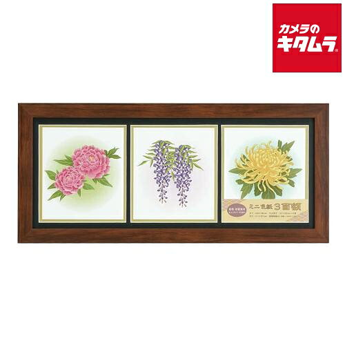 【製品仕様】●外寸：443×198mm●内寸：411×167mm●窓寸：398×155mm●質量：430g●パッケージ：かぶせ箱（白箱）+OPP袋●対応サイズ：ミニ色紙●柄：木目●本体：樹脂製●面材：樹脂●壁掛用金具・縦横兼用スタンド・吊り...