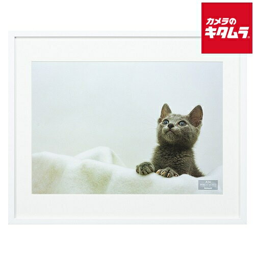 【製品特徴】■シンプルなフレーム形状の写真額は、リビングにも子供部屋にも相性良し■写真が映えるマット付き【製品仕様】●フレーム外形サイズ：416×509×19mm●最大収納サイズ：396×489mm●マット窓サイズ：287×410●フレーム...