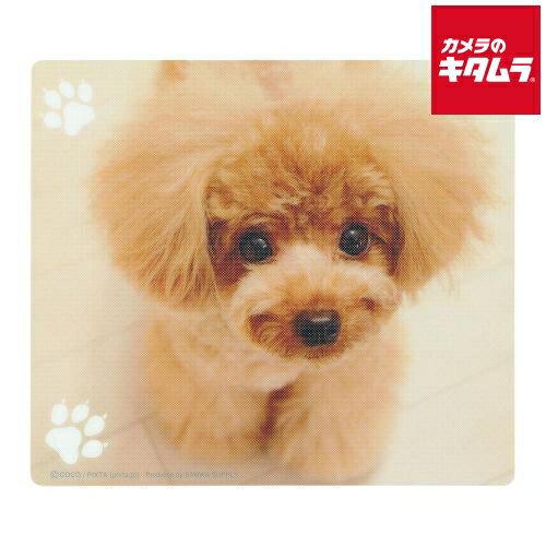 【製品特徴】■動物のかわいい写真を印刷した動物マウスパッド■表面のドット加工により、ブルーLEDなどの光学式マウスでもレーザー式マウスでもスムーズで正確なマウス操作が可能■薄さ0.6mmで机との段差を押さえ、手首に負担を掛けず操作することが...