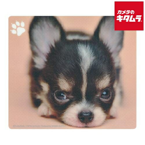 【製品特徴】■動物のかわいい写真を印刷した動物マウスパッド■表面のドット加工により、ブルーLEDなどの光学式マウスでもレーザー式マウスでもスムーズで正確なマウス操作が可能■薄さ0.6mmで机との段差を押さえ、手首に負担を掛けず操作することが...