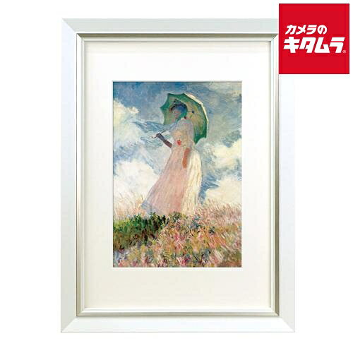 【製品特徴】■アート作品の額装に最適なマット付フレーム【製品仕様】●外寸：248×335mm●内寸：210×297mm●窓寸：198×285mm●質量：450g●対応サイズ：A5判/A4判●柄：木目/無地●本体：樹脂製●面材：樹脂●壁掛用金...