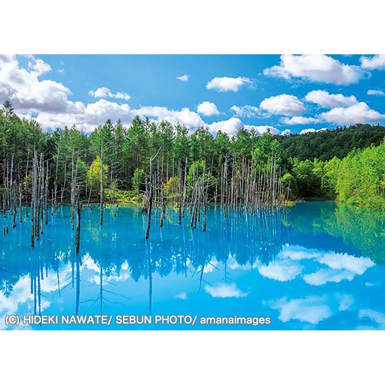 北海道の奇跡の絶景●商品サイズ（cm）幅約29×奥行約22×高さ約5●商品重量約0.51kg●材質500ピース（検索用：北海道 青い池 絶景 500ピース ジグソーパズル 4959295002632）最強翌日配送対象商品に関するご案内 最強...