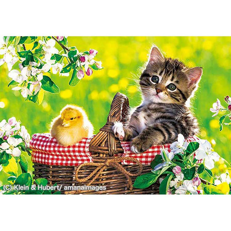 大きなピースで脳活●商品サイズ（cm）幅約22×奥行約17.2×高さ約5●商品重量約0.28kg●材質88ピース（検索用：大きなピース 脳活 シニア ジグソーパズル 4959295091063）最強翌日配送対象商品に関するご案内 最強翌日配...