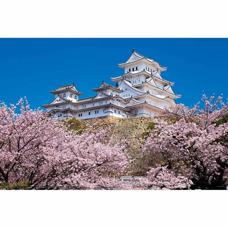 ユネスコ世界遺産にも登録されている名城の一つで白鷺城とも呼ばれている。桜の名所100選にも選定されており、国内外から多くの観光客が訪れる名城。城内にはソメイヨシノを始めとして、シダレザクラやヤマザクラなど約1000本が植えられており、春の彩...