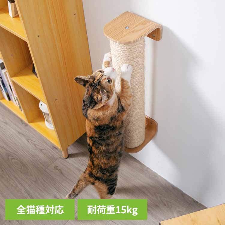 Cylinder II【キャットステップとしての使用も】Cylinderは爪とぎとしてだけではなく、キャットステップとしても使用できる、1つ2役のすぐれもの。ステップの1つとして設置することで、爪とぎをしながら、上下に行き来することができま...