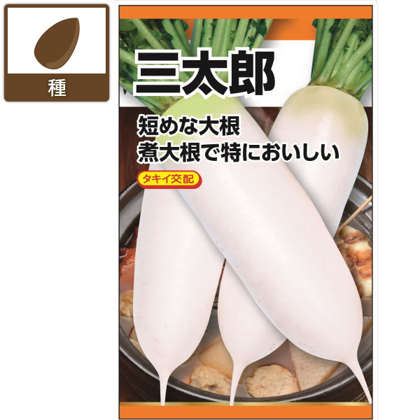 タネ・小袋 タキイ交配 種 タネダイコン：タキイ交配 三太郎[野菜タネ 秋まき（春まきも可能）]短系大根で20〜30cmで収穫できる。煮大根としても利用価値が高い。まき時期(冷涼地)7月中旬-8月下旬収穫時期(冷涼地)9月下旬-11月中旬ま...