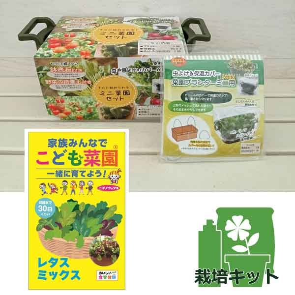 収穫まで30日くらい 食育体験こども菜園(R)栽培セット（レタスミックス）（虫よけ＆保温カバー付き） [野菜のタネ　通年まき]種とプランター・培養土・鉢底石、虫よけ＆保温カバーのセットです。セット内容：こども菜園(R)（レタスミックス）× ...
