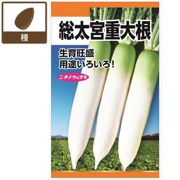 タネ・小袋 7〜10月まき 種 タネダイコン：総太宮重大根（そうぶとりみやしげだいこん）[野菜タネ 夏秋まき]煮物・漬物・切り干しなどいろいろな用途に向く総太り在来種。生育旺盛です。まき時期(冷涼地)7月中旬-8月中旬収穫時期(冷涼地)9月...