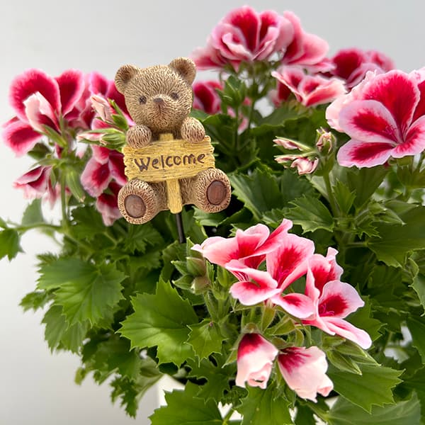 ガーデンピックジャンフォレストピック ベアーBブラウン（WGP002BR）ほっこり可愛いクマのピックです。温かみのある雰囲気を醸し出し、植物に添えてお楽しみください。※商品によって塗装に個体差がございます。キズ、突起、付着物がある場合がござ...