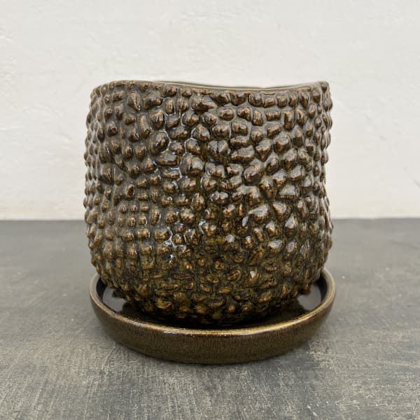 4号用鉢カバーソル：ジャックM　ブラウン4478（直径16cm）・皿付黄みがかったブラウンのシックな陶器鉢です。ツブツブとしたユニークな模様はインパクト大ですが、植物と合わせて飾ると、意外にも落ち着いた空間に違和感なく馴染みます。インテリア...