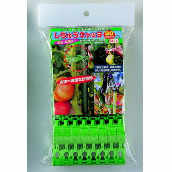 植物の茎を支柱に誘引。クリップ式で簡単固定！しちゅうキャッチ　20（緑）24Pしちゅうキャッチシリーズは野菜・花・果樹の茎・枝が支柱にワンタッチでらくらく誘引！！＜特徴＞・ワンタッチ！取り付け取り外し、留め替え移動や、高い位置への誘引作業も...