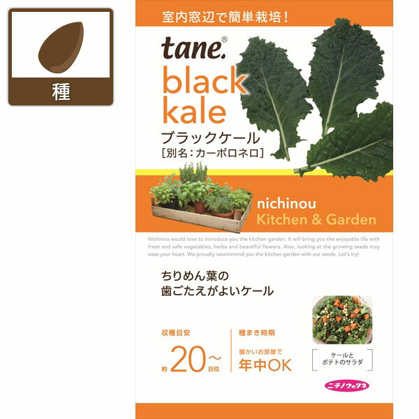 タネ・小袋 キッチン＆ガーデン ちりめんケール 野菜の種tane，ブラックケール「ブラックケール」はケールの中でも栄養価が高い、ちりめん葉の品種です。葉はやわらかく生食・炒めなどに最適です。まき時周年収　穫周年内容量約4mltane，ブラッ...