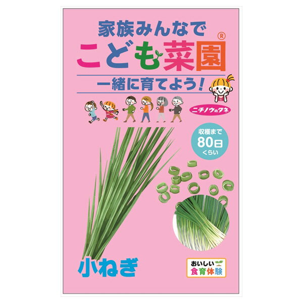 タネ・小袋 種 タネネギ：こども菜園（小ねぎ） 3袋セット[野菜のタネ]薬味や彩りに最適。こどもでもつくりやすい。プランター栽培向きです。冷涼地まき時　4月〜5月・9月〜10月/収穫期　6月〜8月・10月〜12月暖地まき時　4月・9月〜10...