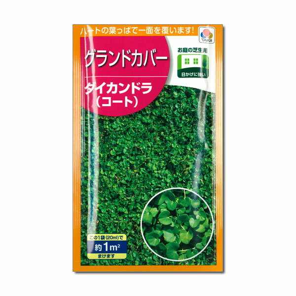 タネ・小袋 タキイ 日陰に強いグランドカバー 春、秋まき 種 タネダイカンドラ：1平米分（20ml） 2袋セット[タネ]ハートの葉っぱで一面を覆います！ハート型の可愛らしい葉を持つ、グランドカバープランツです。半日陰で踏圧の少ない場所でよく...