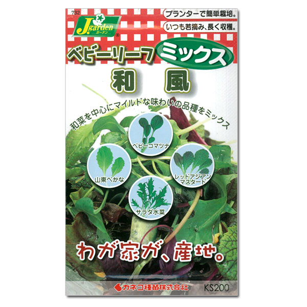 タネ・小袋 水耕栽培可能 種 タネベビーリーフの種ミックス：和風 2袋セット[マイルドな味わいの和菜ミックス 周年まき可能 タネ]和風ドレッシングと相性がいい、和菜中心にマイルドな味わいの品種をミックスしました。プランターで簡単に栽培でき、...