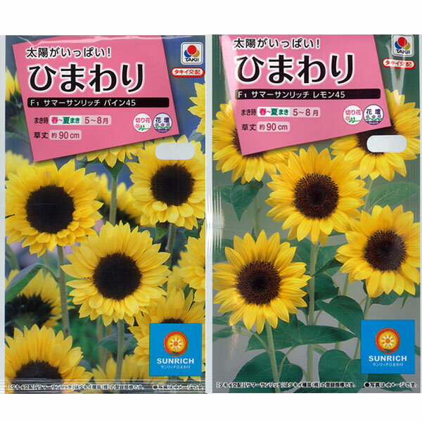 タネ・小袋ひまわりガーデン種セット：最短45日開花の極早生2品種[タキイ　花タネ]最短45日で開花の極早生種「F1サマーサンリッチシリーズ」のひまわり2品種セット。淡いレモン色と目の覚めるような鮮明なイエロー、黄色の濃淡がお楽しみいただけま...
