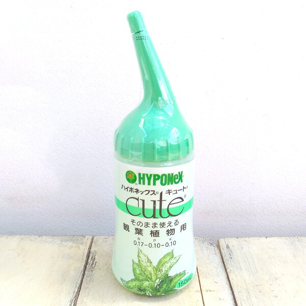 液肥：ハイポネックス：キュート観葉植物用150ml入り（そのまま使える液肥）株元にうすめずそのまま、キューとひと押し。そのまま使える便利な液肥です。浸透剤の働きで、植物に必要な成分をすばやく根にいきわたらせ、目に見えて鮮やかな効果を発揮しま...