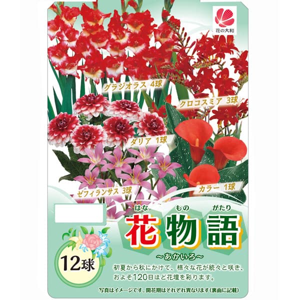 小型 春植え球根の詰め合わせ！球根/[26年4月上旬予約]花物語（春）：あかいろ 12球セット春植え球根の代表的な品種を、同系色で詰め合わせました！初夏から秋にかけて様々な花が次々と咲き、およそ120日ほど花壇を彩ります。★こちらは赤系統の...