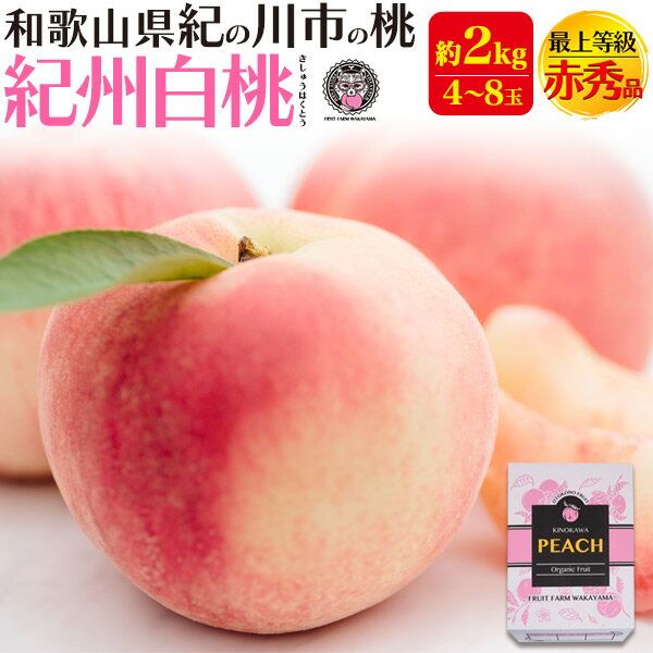 贈答用 和歌山県産 最上等級 赤秀品　紀州白桃　約2kg（4〜8玉入り) 桃の出荷量西日本1位の和歌山県にある「ふるーつふぁーむわかやま」から 1番美味しい状態の完熟桃をお届けします！ 「ふるーつふぁーむわかやま」では収穫前に必ず糖度を測り...