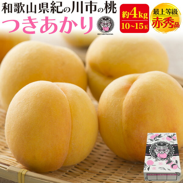 贈答用 和歌山県産 最上等級 赤秀品　つきあかり　約4kg（10〜15玉入り) 桃の出荷量西日本1位の和歌山県にある「ふるーつふぁーむわかやま」から 1番美味しい状態の完熟桃をお届けします！ 「ふるーつふぁーむわかやま」では収穫前に必ず糖度...
