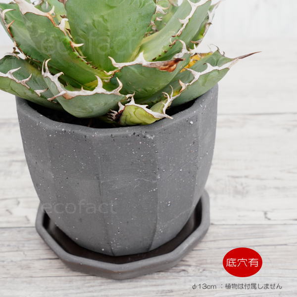 デザインに特化した陶器鉢 　ストーン調　粗目陶土　　　緑のある生活を身近に「サボテン」「多肉植物」に合う小鉢 駅中でつい買った鉢植えも豪華に 独特な形状で異空間を演出　アガベ サボテン ビザールプランツ 塊根植物 ストーン調　粗目陶土の十角...