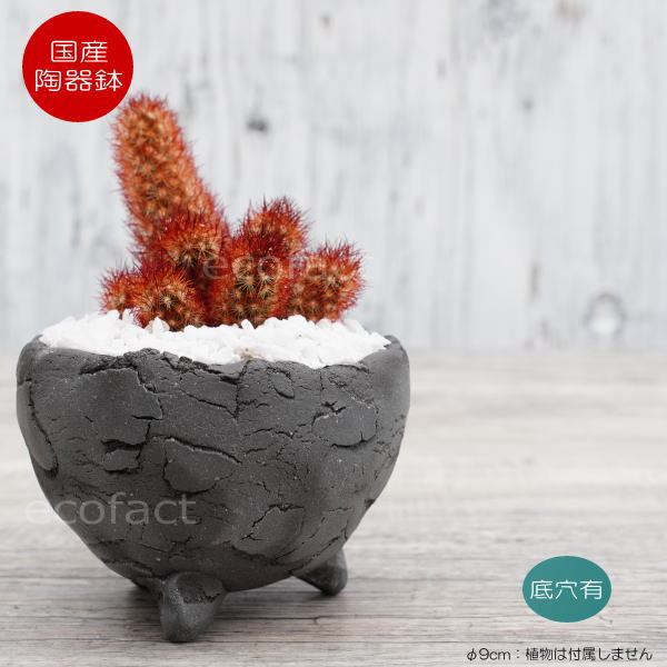 陶土を硬化させわざと崩して卵の殻の破片のようにした鉢 有田焼の里 武雄 窯元「宝寿窯」の鉢 国産 手作り 佐賀の熟練陶芸家 Bunga Yamamoto氏による陶芸鉢 「BUNGA POT」 独創的なたたずまいの鉢　個性的なコーデックス・塊...