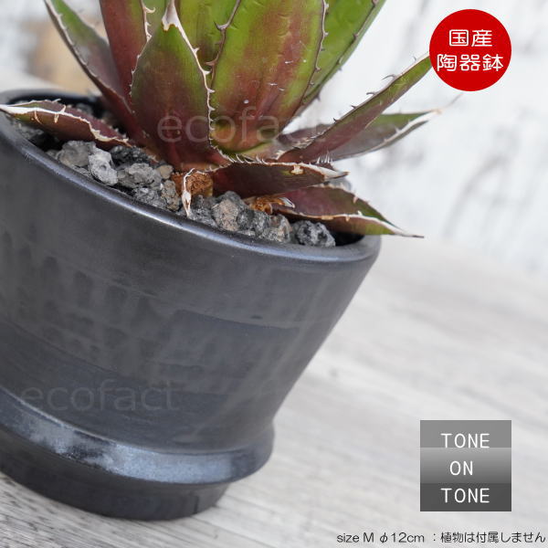 「アガベ」「サボテン」「ビザールプランツ」「塊根植物（コーデックス）」「多肉植物」に合う鉢 大人のクールな鉢　 リム付きマンガン釉 ダークグラデーション チャコールグレイのマットなボディに 同系色で重ねるトーンオントーン マットなボディに、...