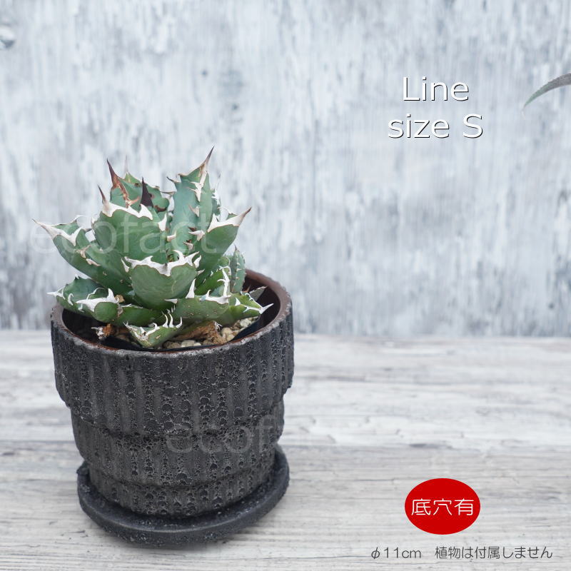 マットブラックが渋く映える、シャビーな小鉢 小型観葉植物用鉢のナチュラルな風合いに寄せるか ギャップで個性を際立たせるか ちょっとだけ倒れづらい鉢 どっしりタイプ　ひょろ高い苗に　いかがでしょうか 潮風にさらされたような経年の味わいを、あえ...