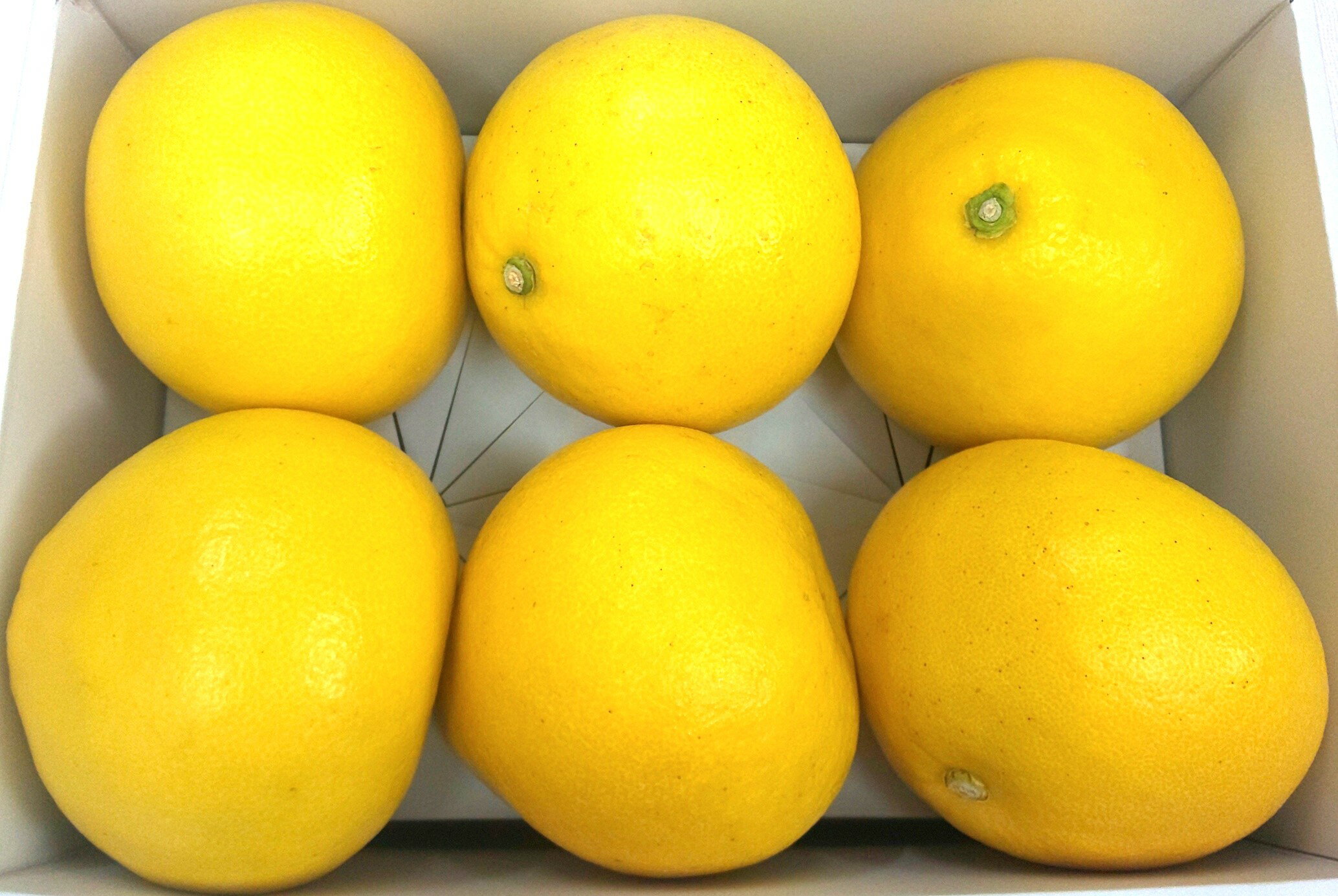 4Lサイズの大きな文旦です。重さは、1個約600gあります。ビタミンCがたっぷり含まれていて、美肌効果が期待できます！酸味のもとになるクエン酸は、乳酸の血中濃度を下げ疲労効果に効果があると言われています。