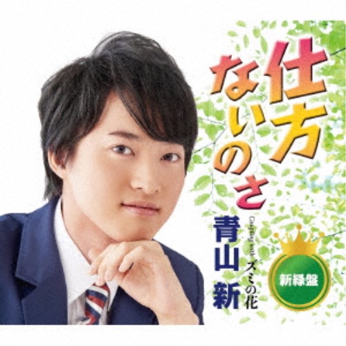 商品種別CD発売日2020/05/20ご注文前に、必ずお届け日詳細等をご確認下さい。関連ジャンル邦楽歌謡曲／演歌永続特典／同梱内容メロ譜、ワンポイントアドバイス付アーティスト青山新収録内容Disc.101.仕方ないのさ(4:05)02.ズミ...