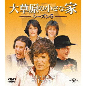 商品種別DVD発売日2013/11/27ご注文前に、必ずお届け日詳細等をご確認下さい。関連ジャンル映画・ドラマ海外ドラマアメリカ商品概要シリーズストーリー19世紀末の西部開拓時代。アメリカ・ミネソタに住む、インガルス一家の日々を描いたファミ...