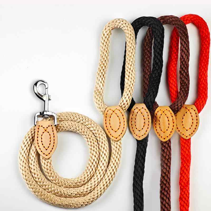 2個セット2個セット