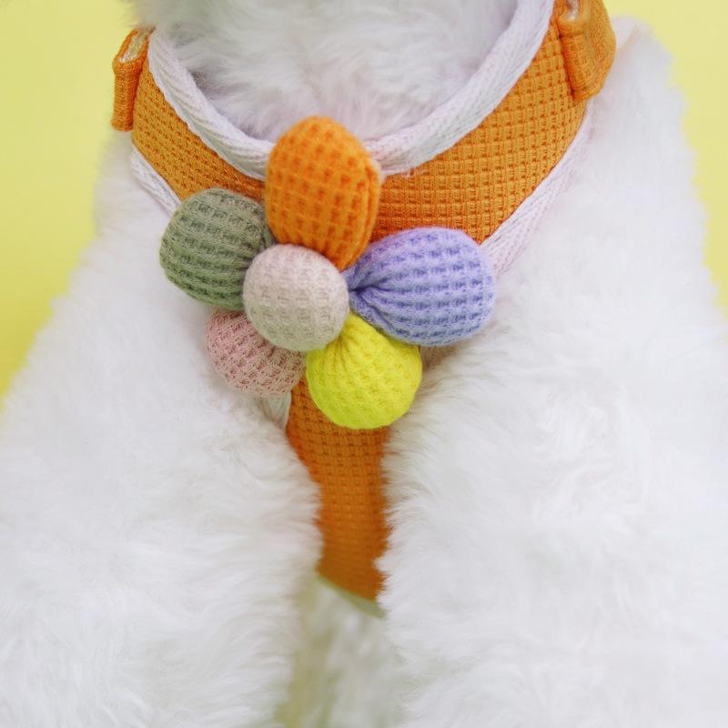 2個セット2個セット