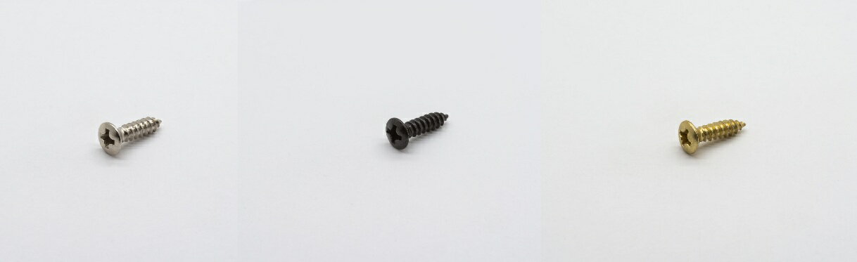 【ネコポス対応商品】 ピックガード固定用ビス。ESPではN-STシリーズやAMAZEシリーズ等のピックガードに使用しています。 ※在庫切れの際はお取り寄せにお時間をいただく場合がございます。