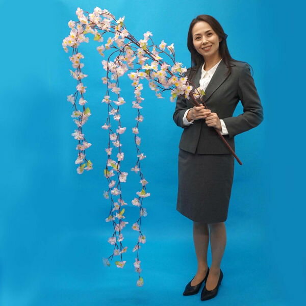 桜装飾　特大しだれ桜　220cm　1本 【商品番号】No.14258 【商品説明】春の装飾・飾り付けに！初春から入学シーズンまで、いろいろな場面で活躍する必須アイテム さくら 。220cmなので、ボリュームや存在感抜群です。降り注ぐような桜...