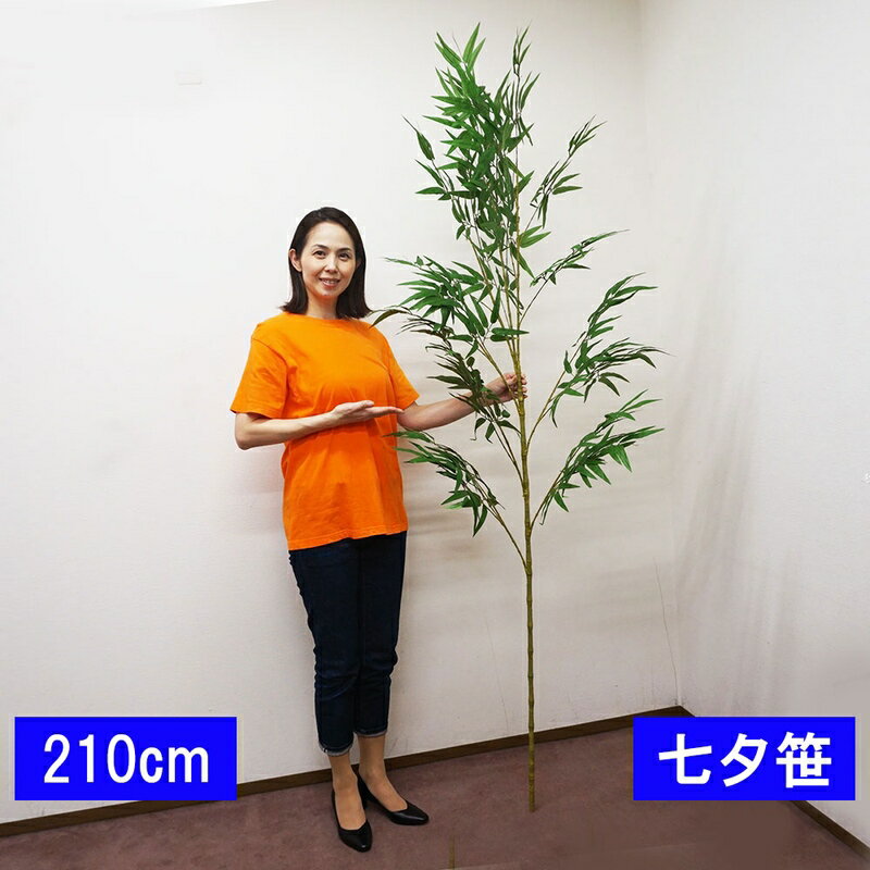 【No.6060・No.6064・No.7614 竹・笹の専用スタンドはこちら】 ■本格七夕笹・リアル節(210cm) ●七夕装飾・七夕飾り 【商品番号】 No.7614本格七夕笹・リアル節(210cm) 【内容】商店街の七夕飾りにおすすめ...