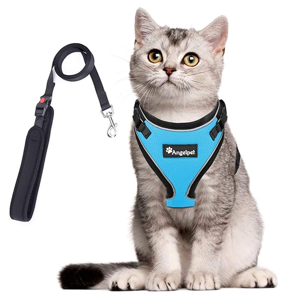 猫 猫用 ハーネス 胴輪 猫具 ねこ ネコ 子猫 子犬 小型犬 散歩 お出かけ 抜けない ベスト ソフト胸あて 軽量 頭を通さずマジックテープで装着 サイズ調節可 夜反射 通気メッシュ (XSサイズ (x 1), ライトブルー)ブランド色ラ...