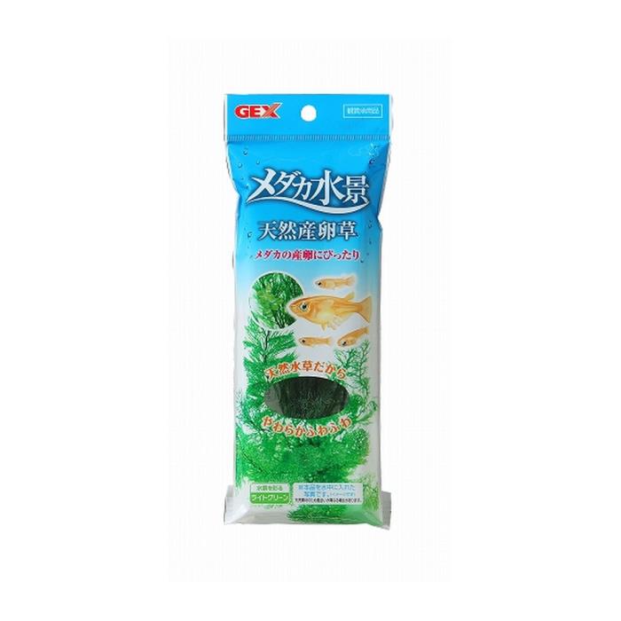 【商品説明】・天然シダを染色して乾燥させた、魚に優しい天然水草。　【原材料】シダ・おもり（鉛）