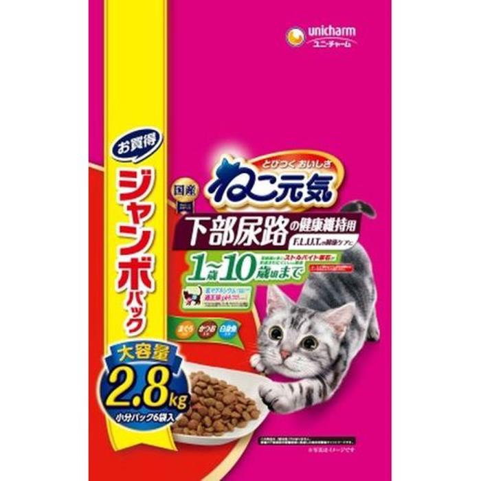 【商品説明】おいしさと栄養バランスを考えたキャットフード（ドライタイプ）　おいしさと栄養バランスを考えたキャットフード（ドライタイプ）【原材料】穀類（トウモロコシ、パン粉、コーングルテンミール）、肉類（ビーフミール、チキンミール、チキンエキ...