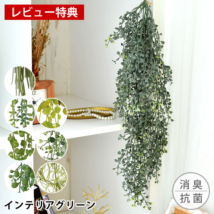 商品名 光触媒 グリーンブッシュ 商品詳細 サイズ ホヤリネアリス／約 W5.5×H62cm セネリオ／約 W7.5×H61cm ティーリーフ／約 W8.5×H61.5cm ビーンバイン／約 W8.5×H80cm ミニシェルリーフ／約 W1...