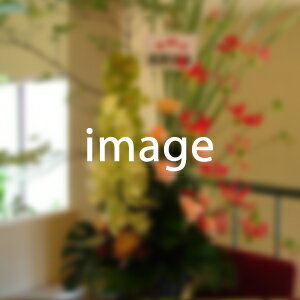 管理方法 商品到着後はすぐにラッピングをはずし、器のふちからたっぷりお水を注いで下さい。 風のあたらない、涼しい場所においていただくとより長持ちします。 こんな時に 各種ギフトお急ぎのとき。どのようなお花が良いか迷ったとき。 お誕生日・お祝...