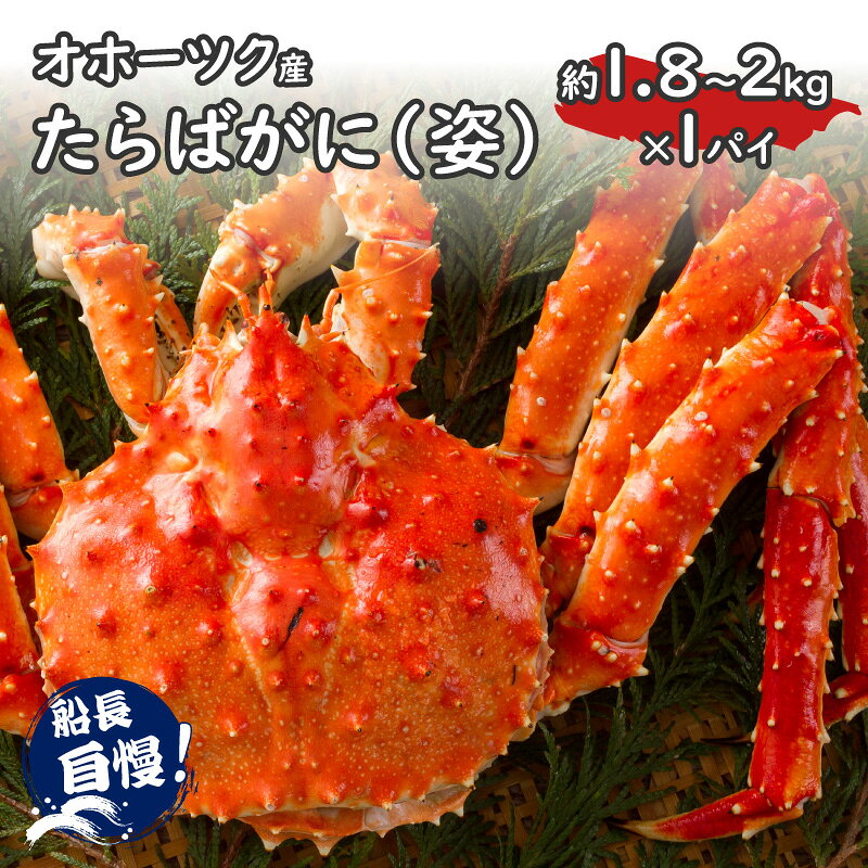 ～かにの王様と言えば…やっぱり、たらばがに！～ 『たらばがにの太い足を豪快に頬張る』この満足感は、唯一無二ですよね！ たらばは足が太い分、旨味も濃い～んです。 姿のまま丸ごと一尾お届けするので、たっぷりお召し上がりいただけます。 食べきれな...