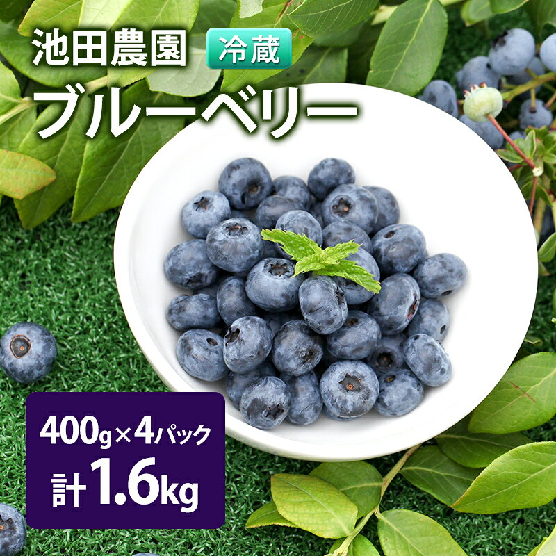 名称ブルーベリー内容量冷蔵ブルーベリー 400g×4パック 原産地：北海道芦別市 製造地：北海道芦別市 賞味期限：冷蔵庫保存にて7～10日程度 要冷蔵産地北海道芦別市産事業者池田農園配送方法冷蔵配送お届け時期2026年7月下旬～8月下旬備考...