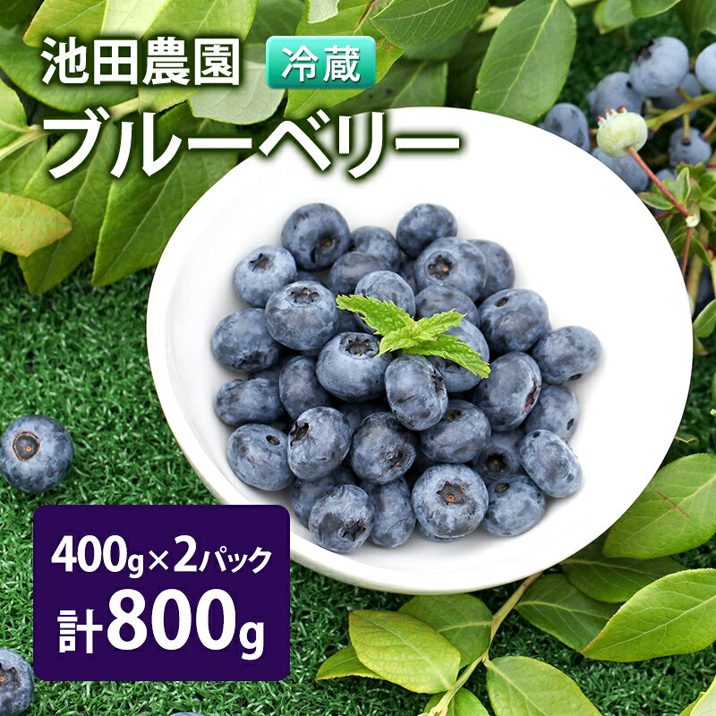 名称ブルーベリー内容量冷蔵ブルーベリー 400g×2パック 原産地：北海道芦別市 製造地：北海道芦別市 賞味期限：冷蔵庫保存にて7～10日程度 要冷蔵産地北海道芦別市産事業者池田農園配送方法冷蔵配送お届け時期2027年7月下旬～8月下旬備考...
