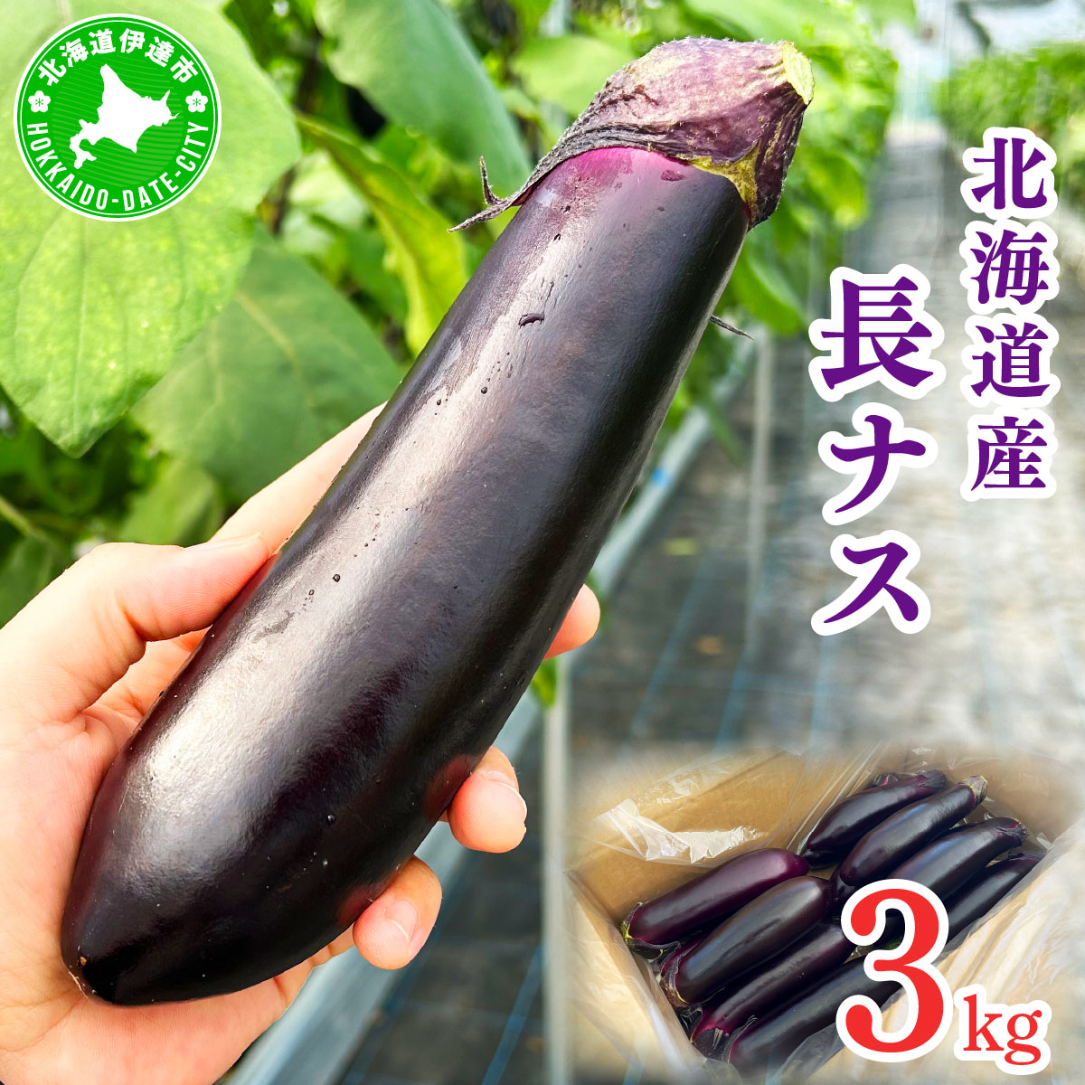 名称 ＜先行予約＞北海道伊達産 長ナス 3kg 詰め 内容量 長ナス規格品3kg詰め （18〜20本ほど） 主原料原産地 北海道伊達市 消費期限 収穫日から4日。 生鮮食品のため、お早めにお召し上がりください。 配送方法 常温 申込期限 2...