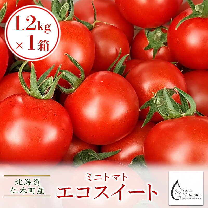 名称ミニトマト(エコスイート)内容量ミニトマト【エコスイート】1.2kg×1箱 ※サイズ混載 産地：仁木町 ※ふるさと納税返礼品地場産品基準(平成31年総務省告示第179号第5条)のうち該当する類型について 仁木町内において生産されたもので...