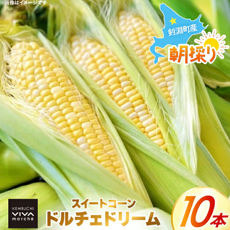 2026年8月後半〜2026年9月前半において順次発送 ※申込期日：2026年8月31日（決済確認） ※申込が集中した場合は、お届けまでお待たせすることがございます。 ※収穫状況によって発送時期が変更になる場合があります。 ※配送不可エリア...