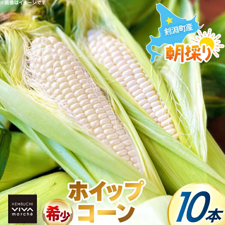 2026年8月後半〜2026年9月前半において順次発送 ※申込期日：2026年8月31日（決済確認） ※申込が集中した場合は、お届けまでお待たせすることがございます。 ※収穫状況によって発送時期が変更になる場合があります。 ※配送不可エリア...