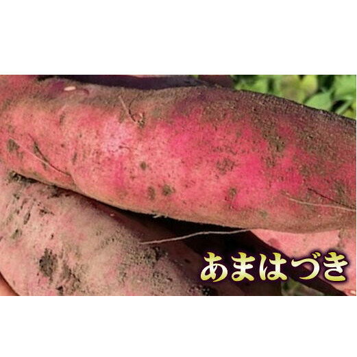 名称さつまいも内容量・さつまいも（あまはづき）：5kg（M～2L）※土付き産地増毛産配送方法常温配送お届け時期9月下旬～11月 ・ふるさと納税よくある質問はこちら ・寄附申込みのキャンセル、返礼品の変更・返品はできません。あらかじめご了承く...